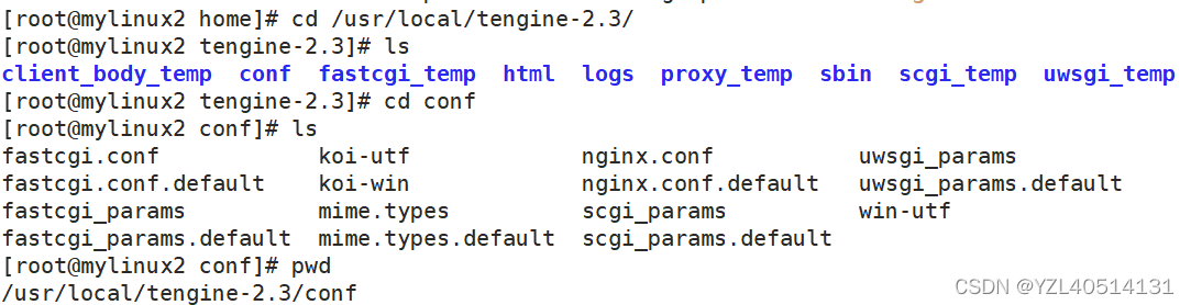 Tengine的Linux下安装和启动-CSDN博客