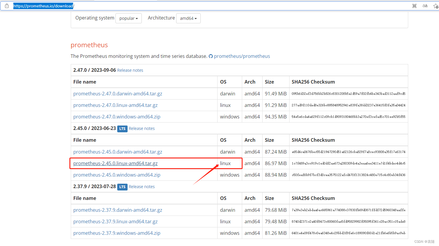 搭建Prometheus监控加grafana的web页面_grafana是基于什么搭建的web-CSDN博客