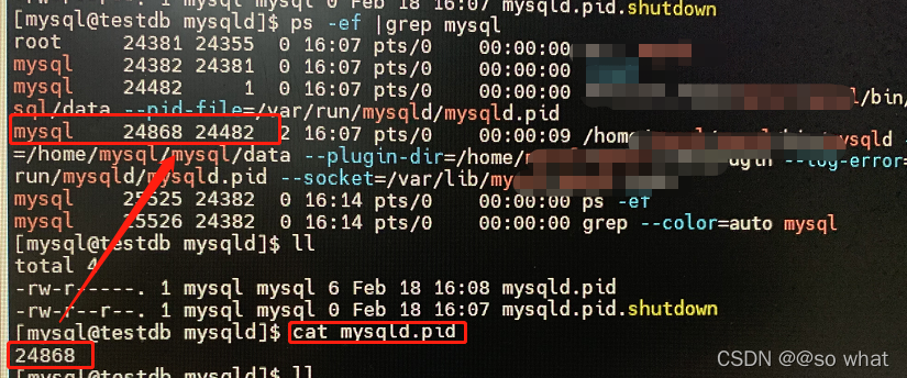 MySQL数据库重启报错“the server quit without updating PID file”处理方法-CSDN博客