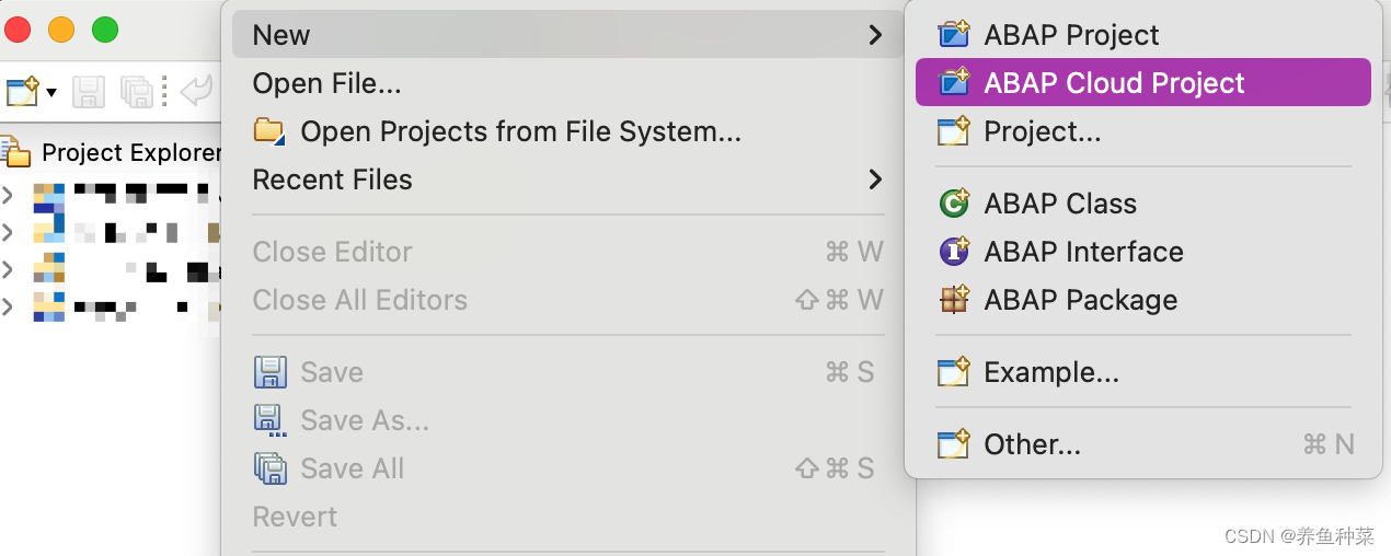 BTP上的ABAP开发（1）环境搭建_abap btp-CSDN博客
