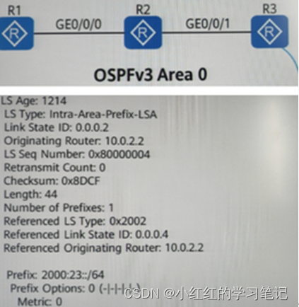 HCIP-Datacom-ARST自选题库__OSPF判断【46道题】_display ospfv3 peer verbose-CSDN博客