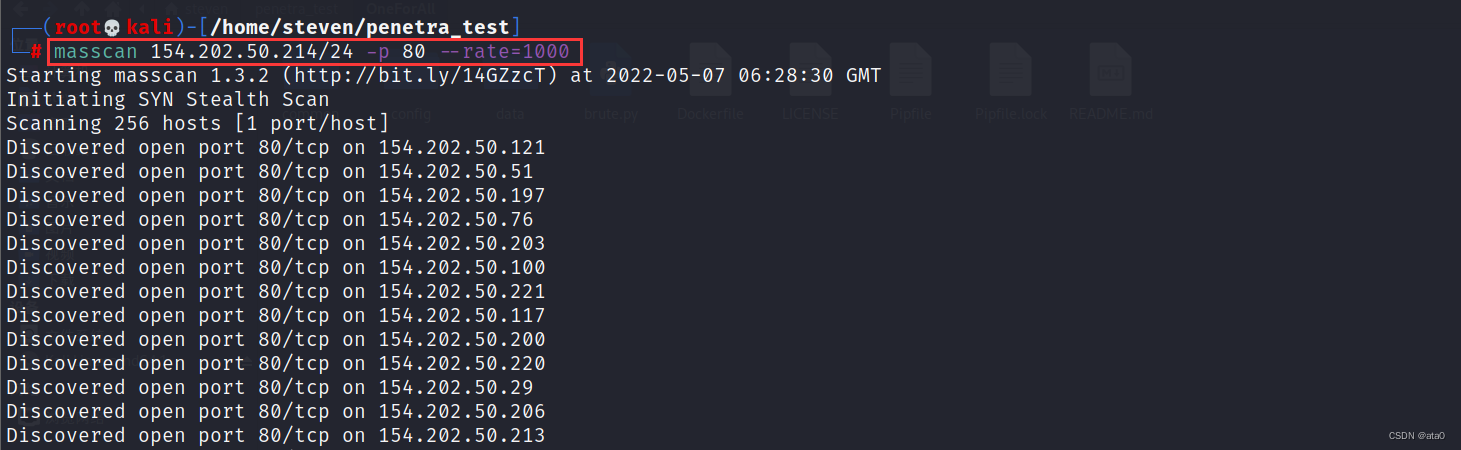 快速扫描与端口探测：masscan与nmap实战指南-CSDN博客