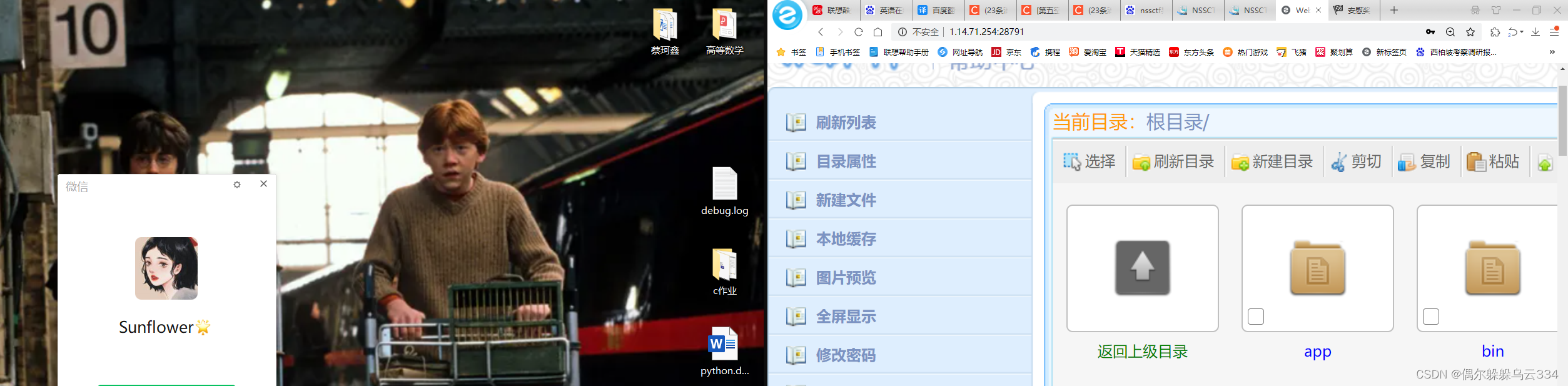 [suctf 2019]EasySQL-CSDN博客