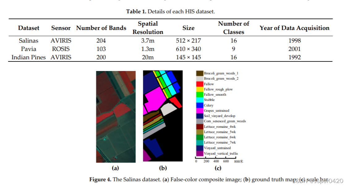 Spatial-Spectral Transformer for Hyperspectral Image Classification_外文翻译-CSDN博客