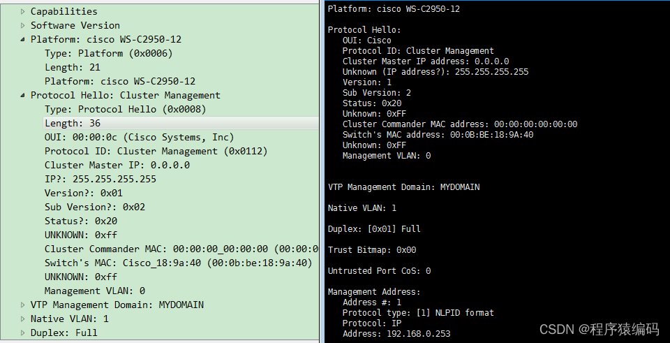 CDP思科发现协议解析及C/C++代码实现_cdp协议-CSDN博客