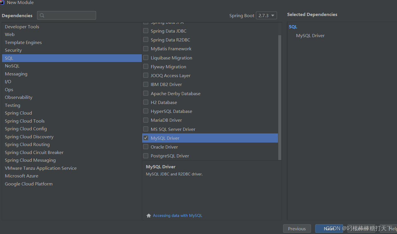 springboot整合MyBatis-Plus_module sdk选什么-CSDN博客
