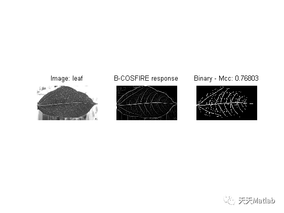 【图像检测】基于B-COSFIRE算法实现边缘检测matlab代码_b-cosfire算法实现的图像边缘检测-CSDN博客