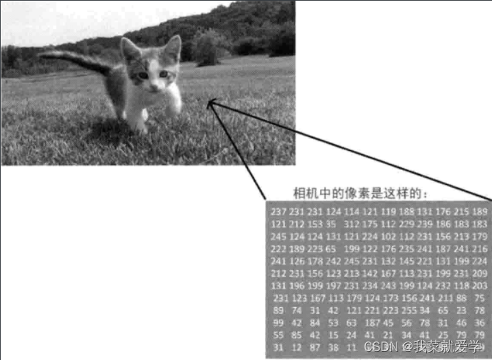 Opencv—数据结构与基本绘图（一）point2fvectorvector绘制在mat中 Csdn博客