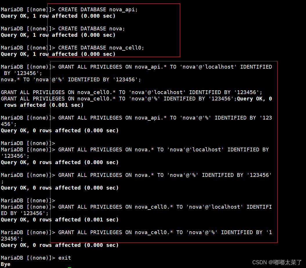 【Openstack Train安装】九、Nova安装-CSDN博客