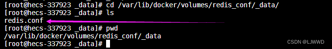 Docker部署redis后,修改配置文件的requirepass后无效docker Run Redis Requirepass Csdn博客