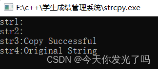 strncpy()函数越界使用示例_strncpy越界问题-CSDN博客
