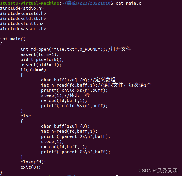 【Linux】文件描述符&先打开open文件再fork&先fork再open_fork 文件描述符-CSDN博客