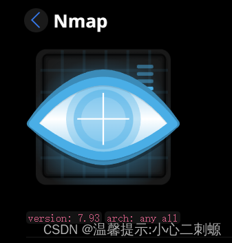 Nmap网络安全扫描工具详解-CSDN博客