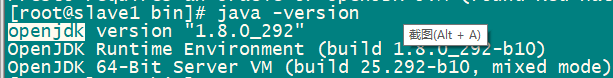 presto安装指南及踩坑指南_presto requires an oracle or openjdk jvm (found re-CSDN博客