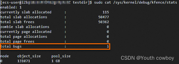 Linux kfence机制详解-CSDN博客