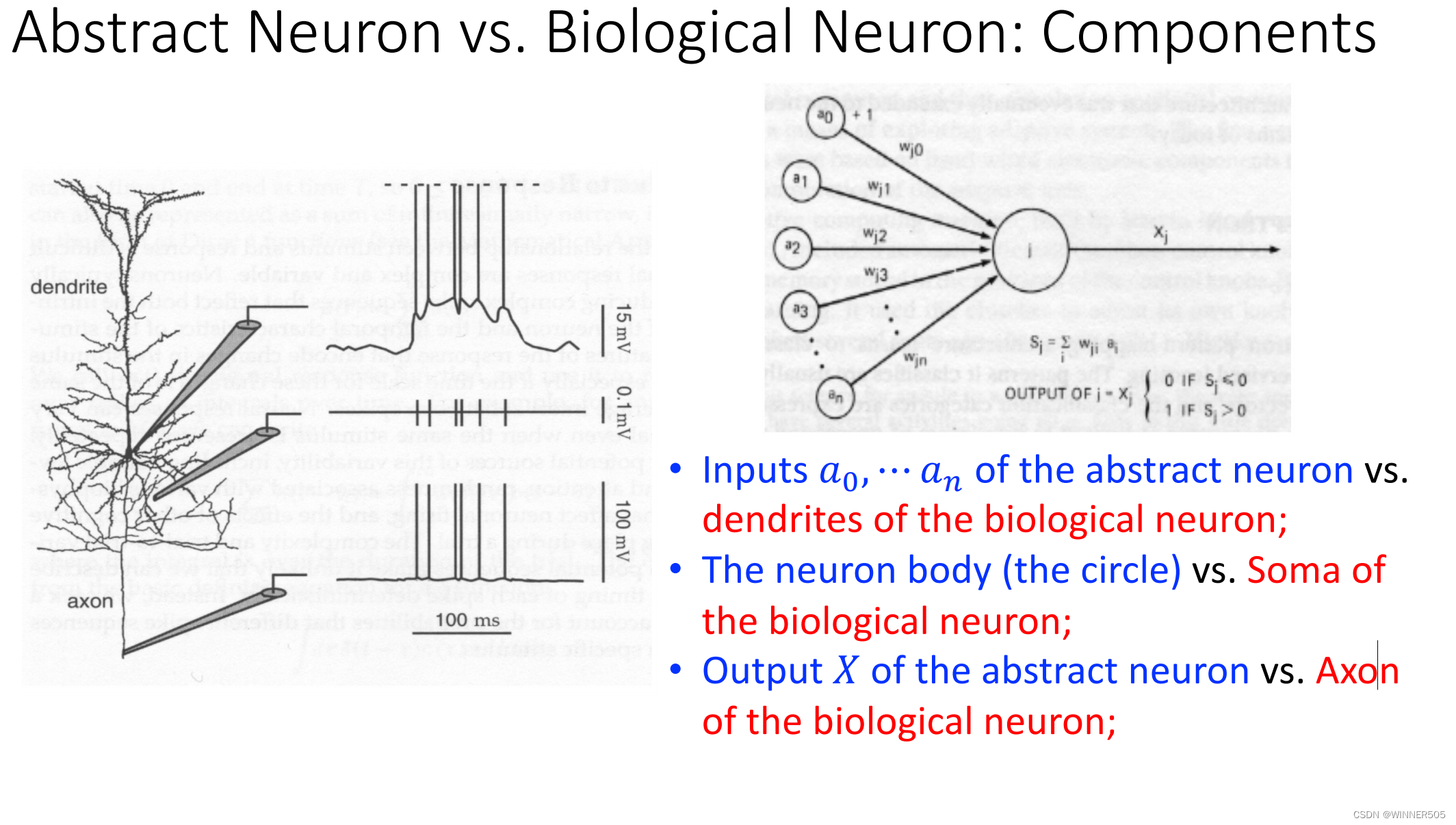 【COMP305 LEC 3 LEC 4】-CSDN博客
