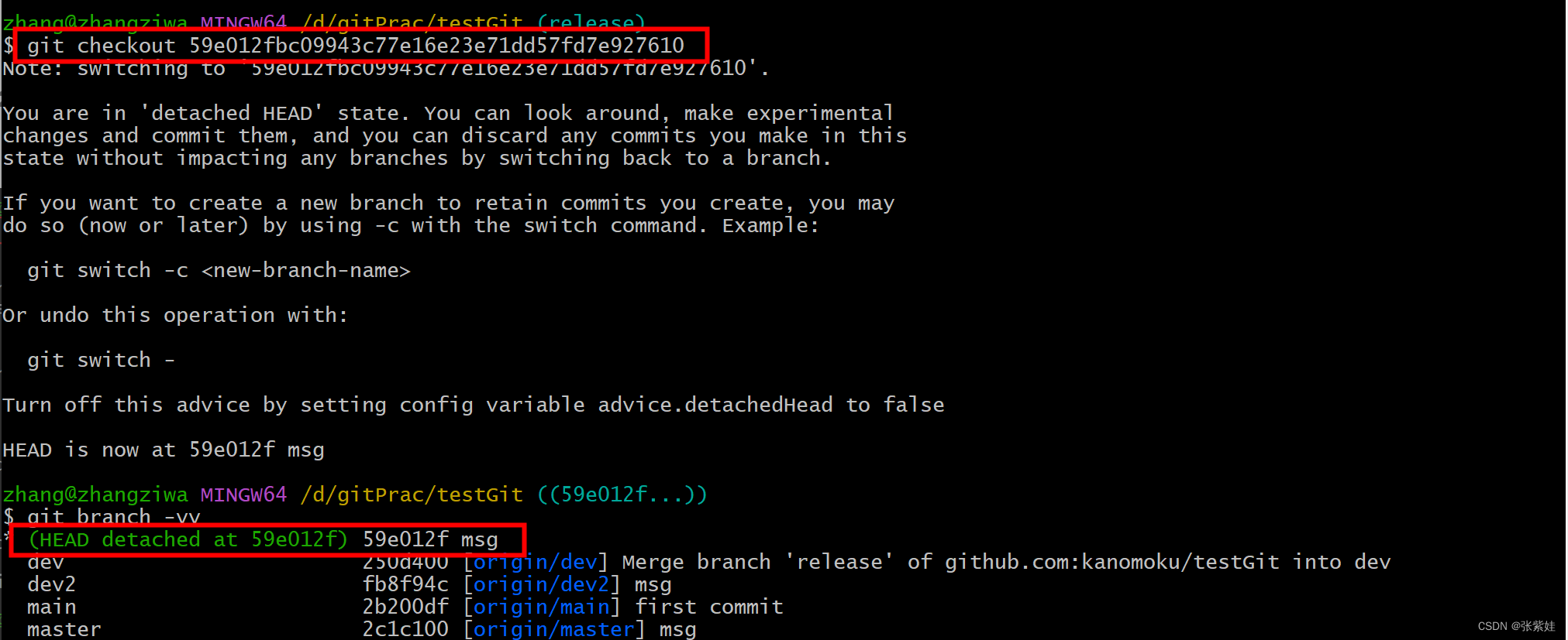 Git 核心概念详解：HEAD、游离 HEAD、origin/HEAD、ORIG_HEAD 和 FETCH_HEAD_detached head-CSDN博客