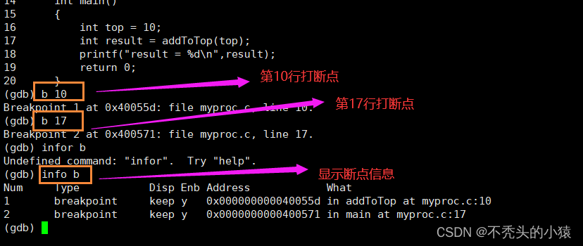 Linux---gdb调试方法_gdb 二进制显示-CSDN博客