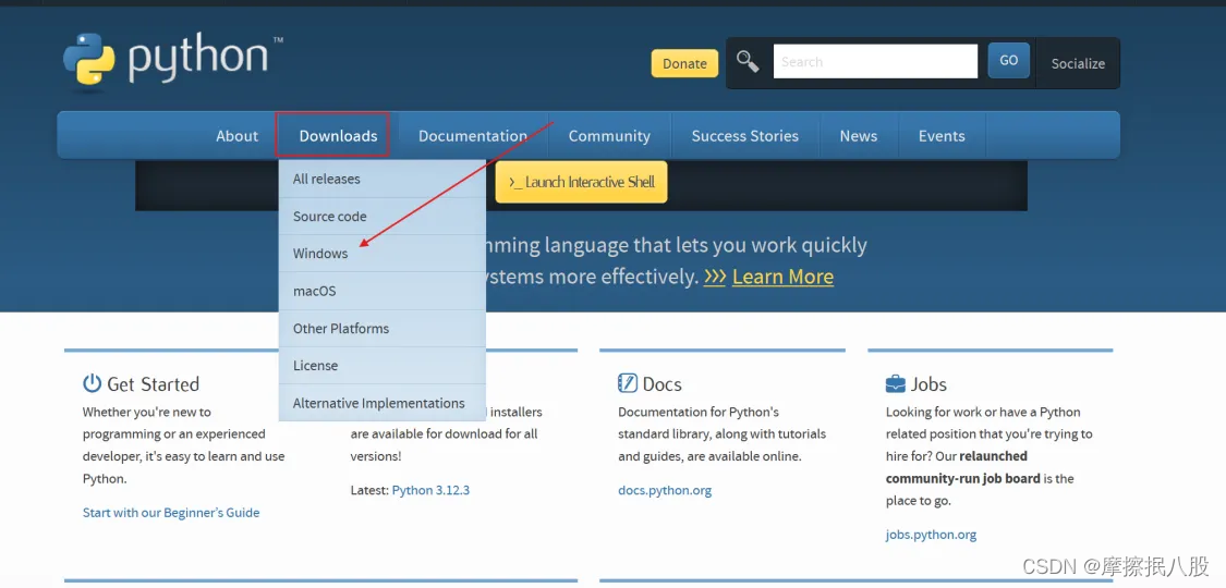 在Windows下载、安装Python和配置环境（新手、保姆级教程）_windows下载python-CSDN博客