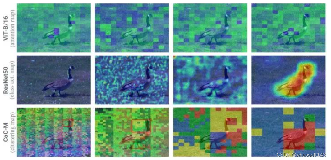 CoCs~_context cluster-CSDN博客