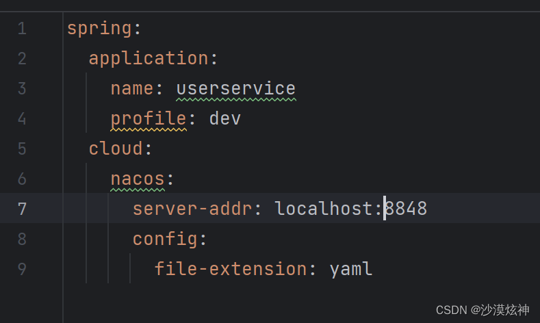 ailed to req API:/nacos/v1/ns/instance after all servers([8848]) tried: java.net.SocketException ...