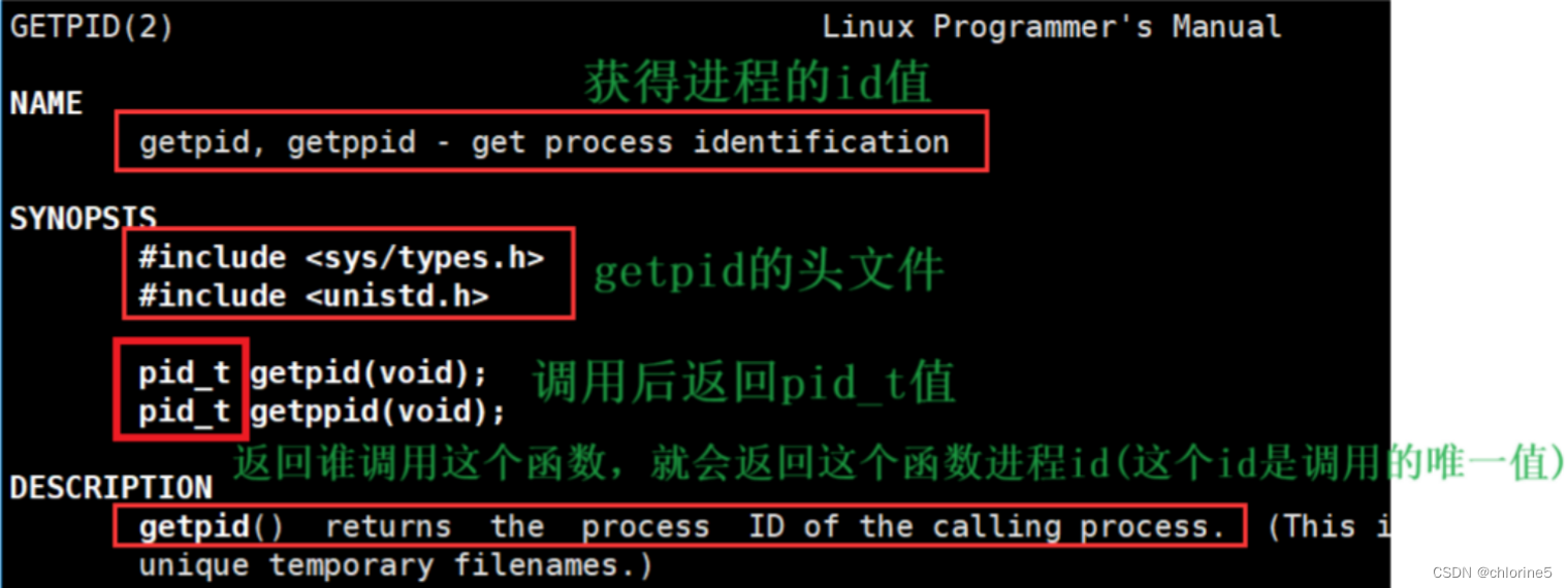 Linux——系统调用(标识符pid/ppid)or创建子进程(fork)_linux pid-CSDN博客