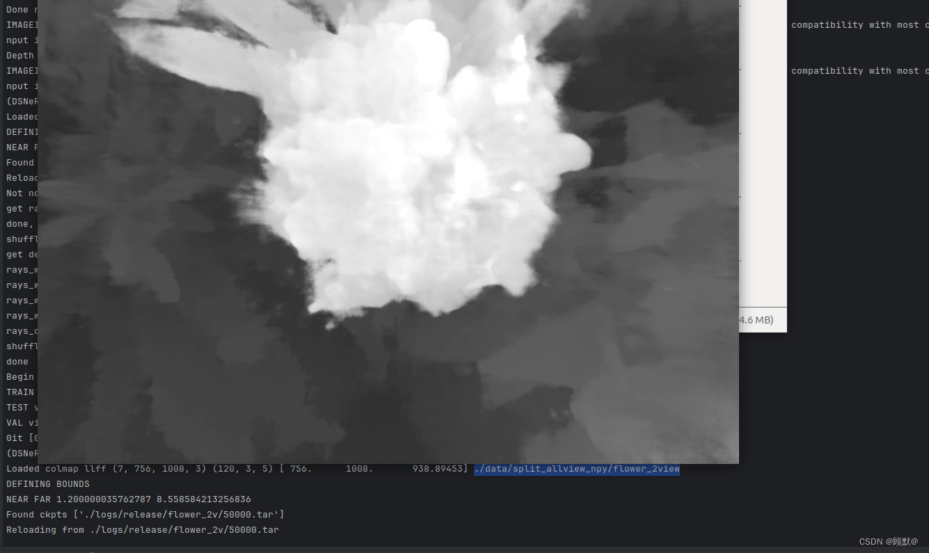 DSNeRF复现流程-CSDN博客
