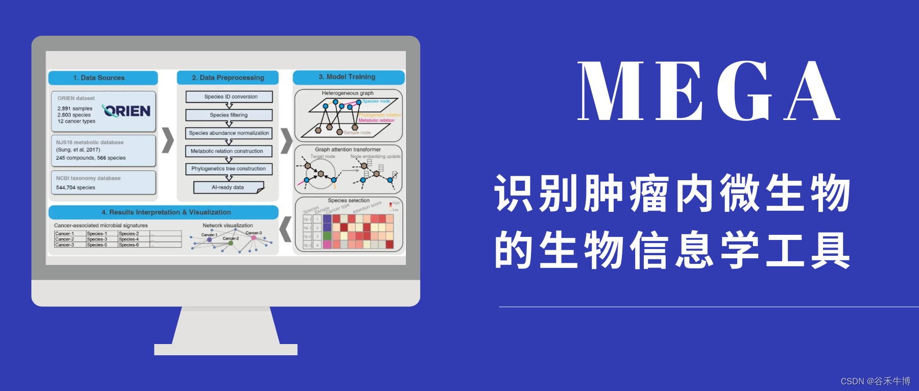 识别肿瘤内微生物的生物信息学工具—MEGA_mega,用于识别与12种癌症类型最密切相关的微生物-CSDN博客