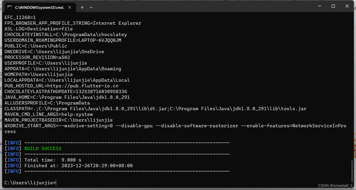 Java-Maven3.9.6：Maven依赖管理 / 安装-配置-使用-CSDN博客