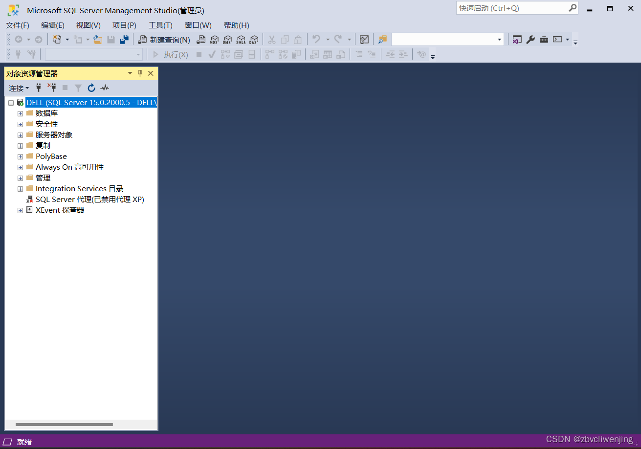 SQL Server 2019保姆级安装教程来啦~_sql server2019安装步骤polybase配置-CSDN博客