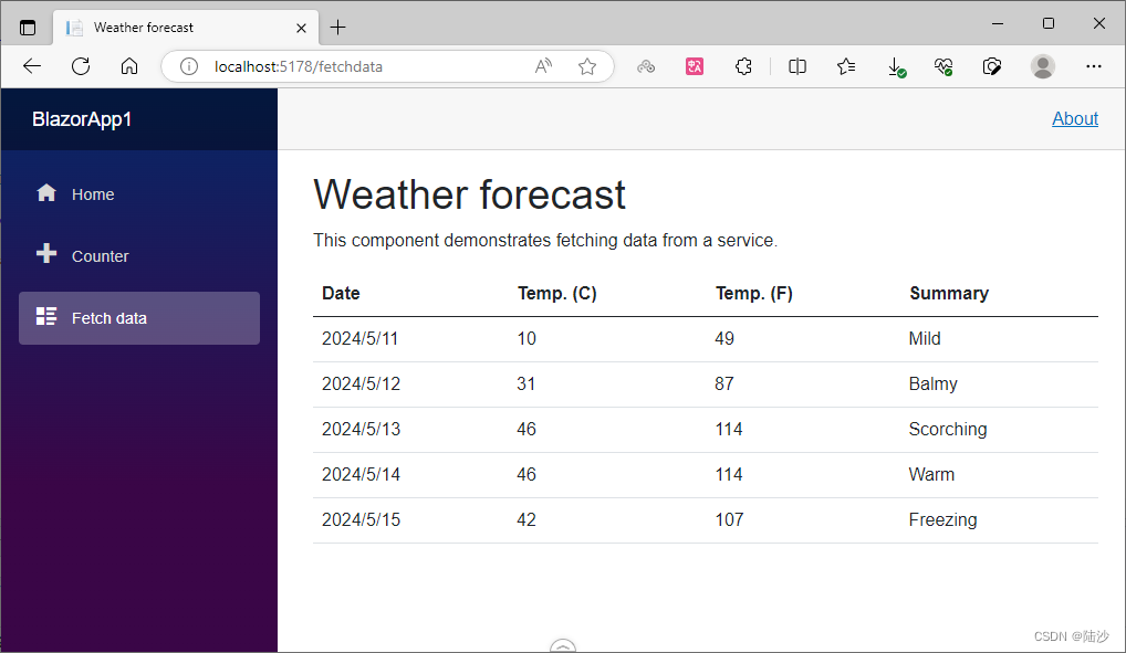Blazor入门-基础知识+vs2022自带例程的理解_blazor教程-CSDN博客