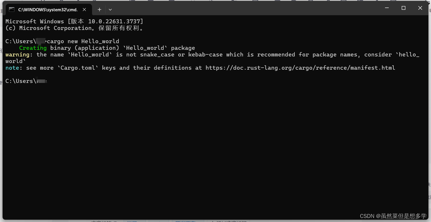Rust安装（win版本）_windows rust安装-CSDN博客