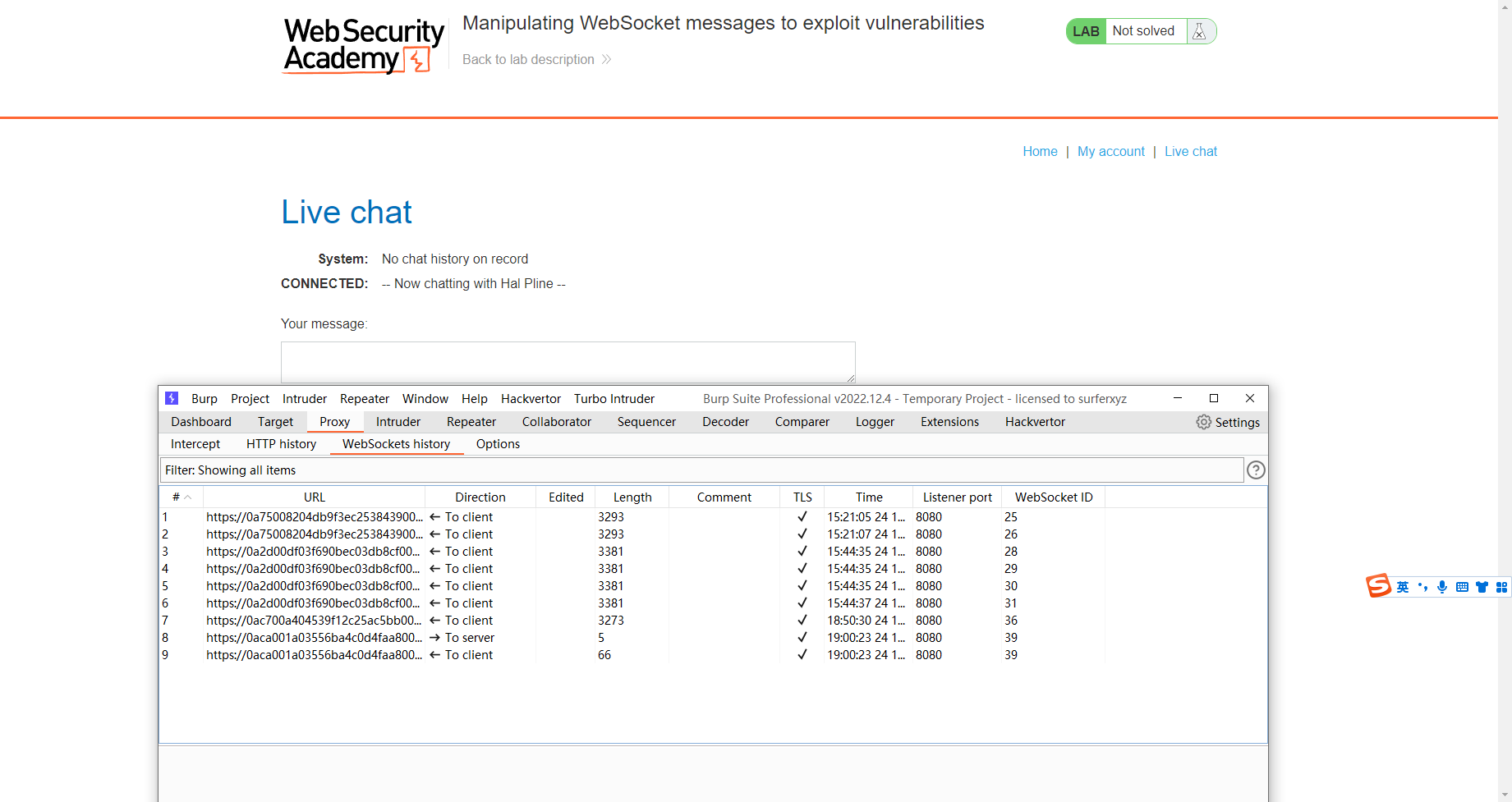 burpsuit 靶场(WebSockets)_bp靶场websocket-CSDN博客