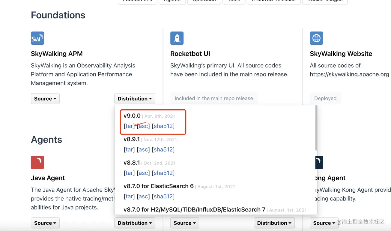 skywalking简单安装使用_skywalking-agent.jar下载-CSDN博客