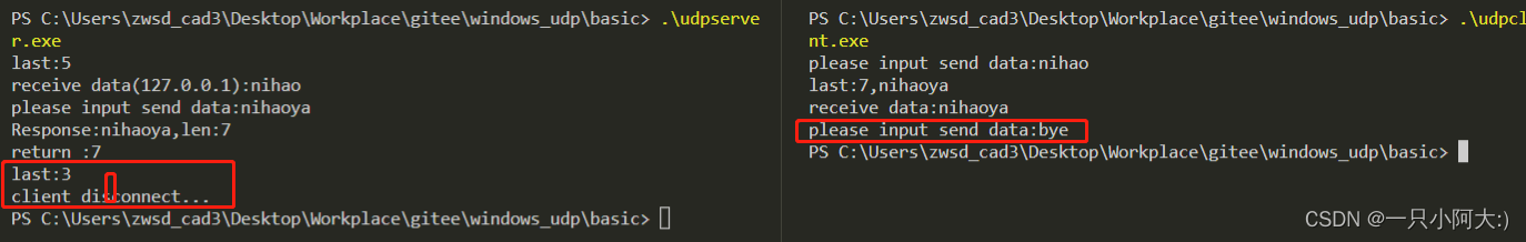 Windows C语言 UDP通信demo_windows c udp server-CSDN博客