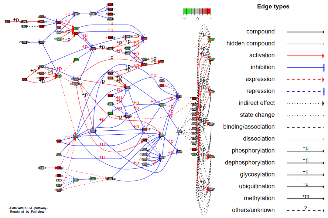 Pathview包教程|2.学习Pathview函数以及结果输出形式-CSDN博客