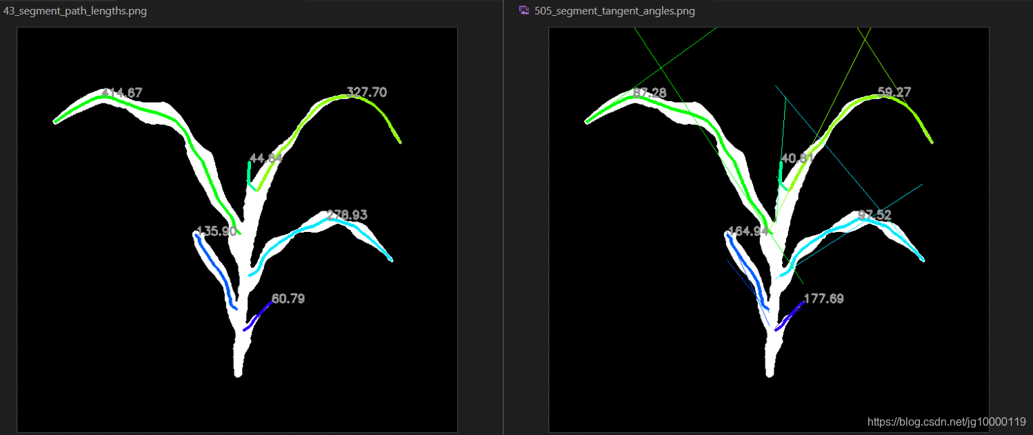 PlantCV安装与图像处理教程：从零入门到实战应用-CSDN博客