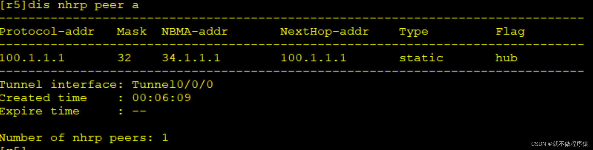 PAP与CHAP认证配置：从PPP接口到NHRP隧道-CSDN博客
