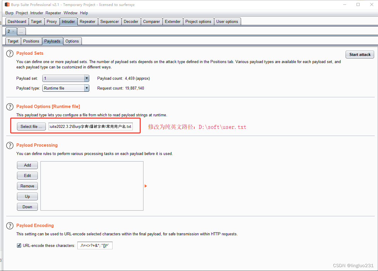 burp suite intrude功能读取不到payload的文件_intruder的payload位置不更新-CSDN博客