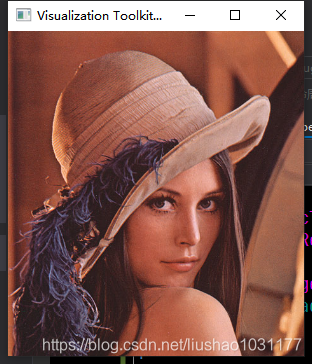 VTK笔记-图像相关-vtkImageViewer2类_在vtk中vtkimageviewer2中图像显示时,设置插值方式-CSDN博客