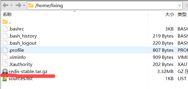 Debian11安装Redis最新的稳定版本-CSDN博客
