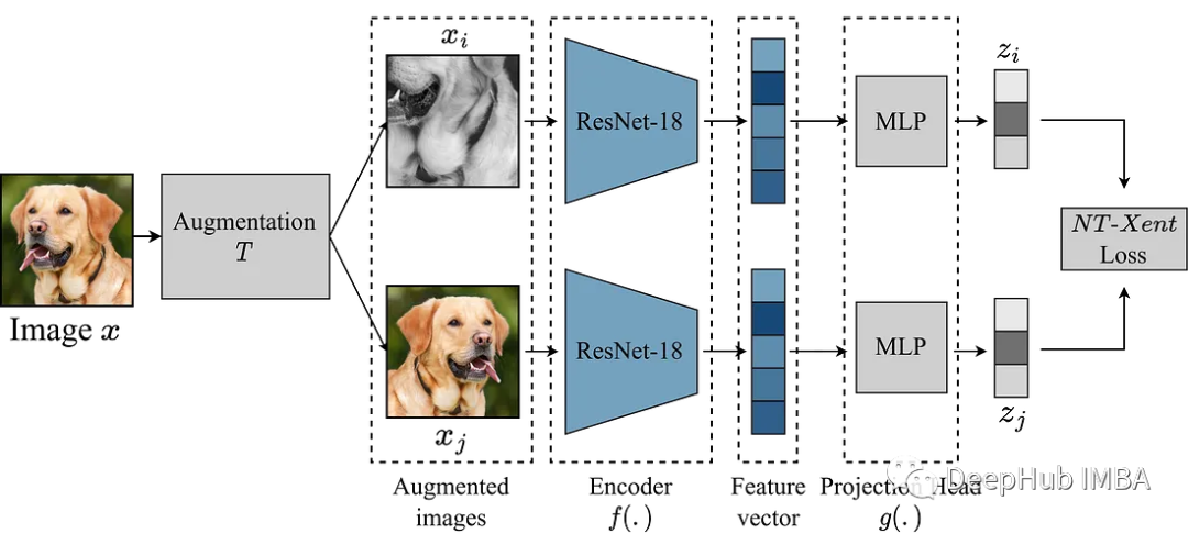 使用Pytorch实现对比学习SimCLR 进行自监督预训练_simclr的pytorch源码实现-CSDN博客