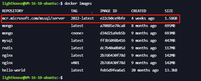 Docker安装MS SQL Server并使用Navicat远程连接_docker sql server 2022 远程连接-CSDN博客