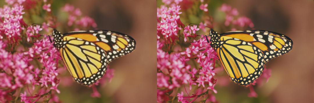 效果提升7%、速度增加220%，OCR开源神器PaddleOCR再迎升级_paddleocr 性能优化-CSDN博客