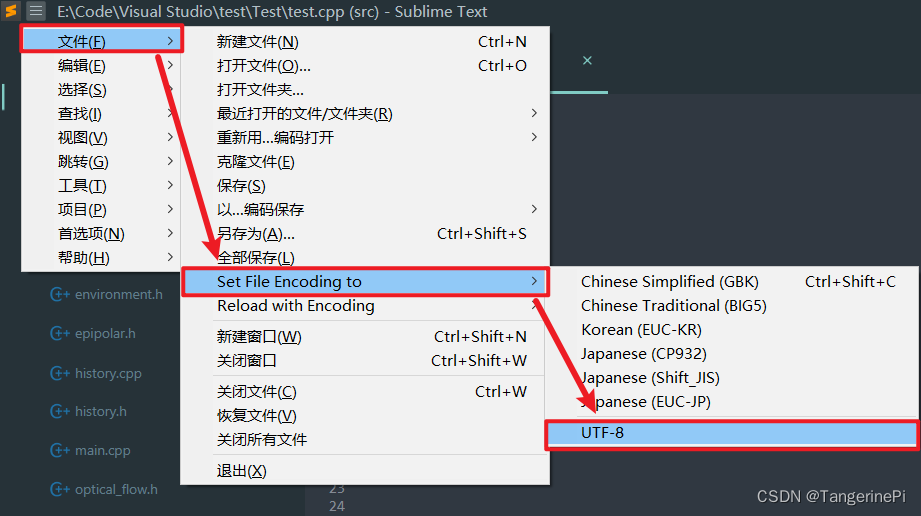 Visual Studio文字乱码解决方法_visual studio 中文乱码-CSDN博客