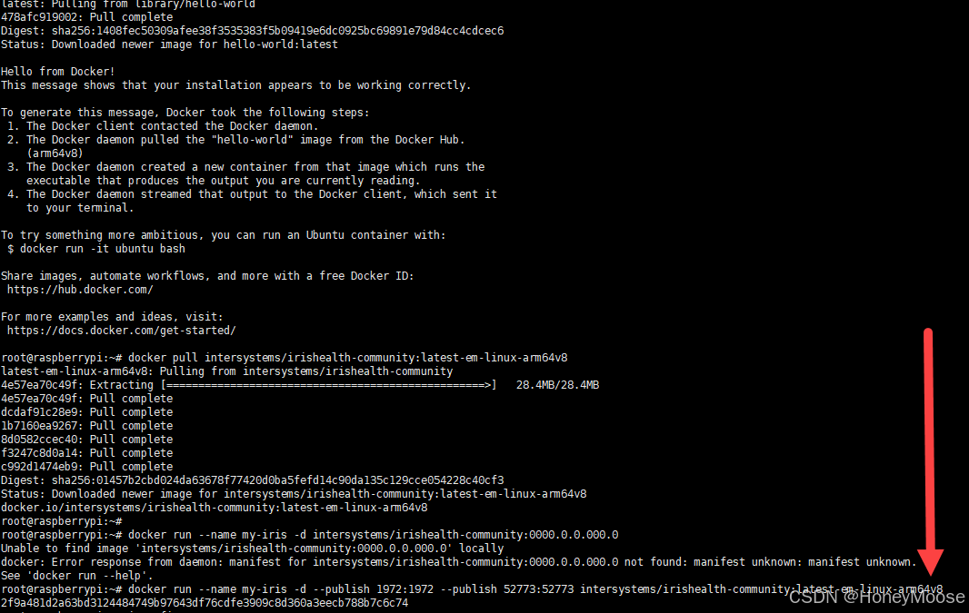 Raspberry Pi Docker 运行 IRIS-CSDN博客