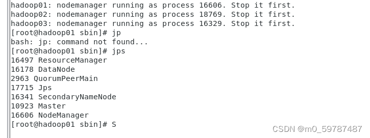 hadoop启动集群之后没有namenode的一种情况_hadoop namenode -format未找到命令-CSDN博客