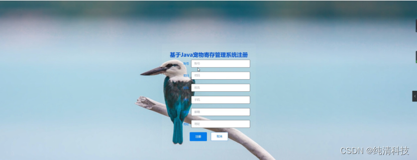 Django计算机毕业设计基于java宠物寄存管理系统（程序lw）python Csdn博客