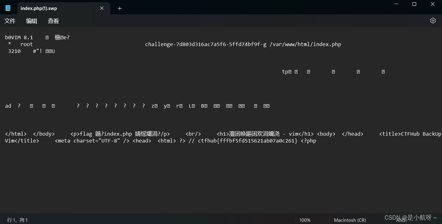 CTFHUB vim缓存wp_ctfhubvim缓存-CSDN博客